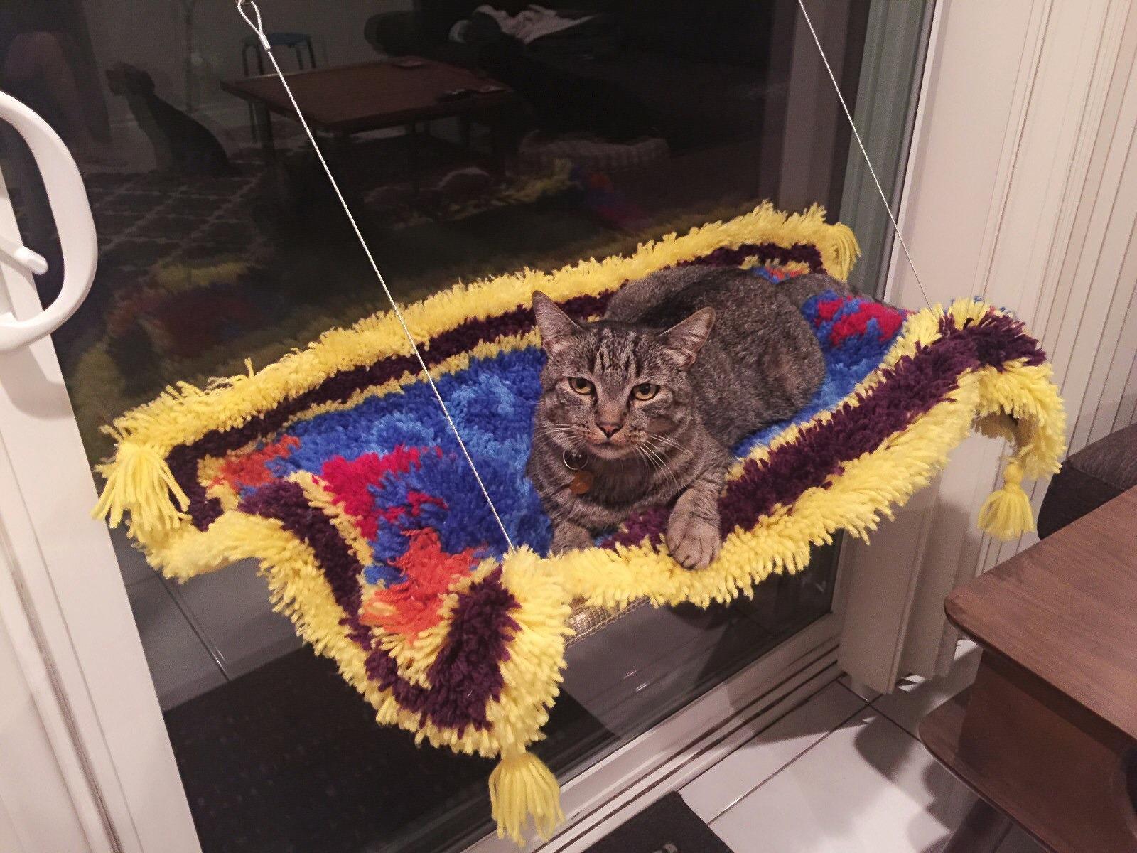 Pictures – Kitty Cot Original™