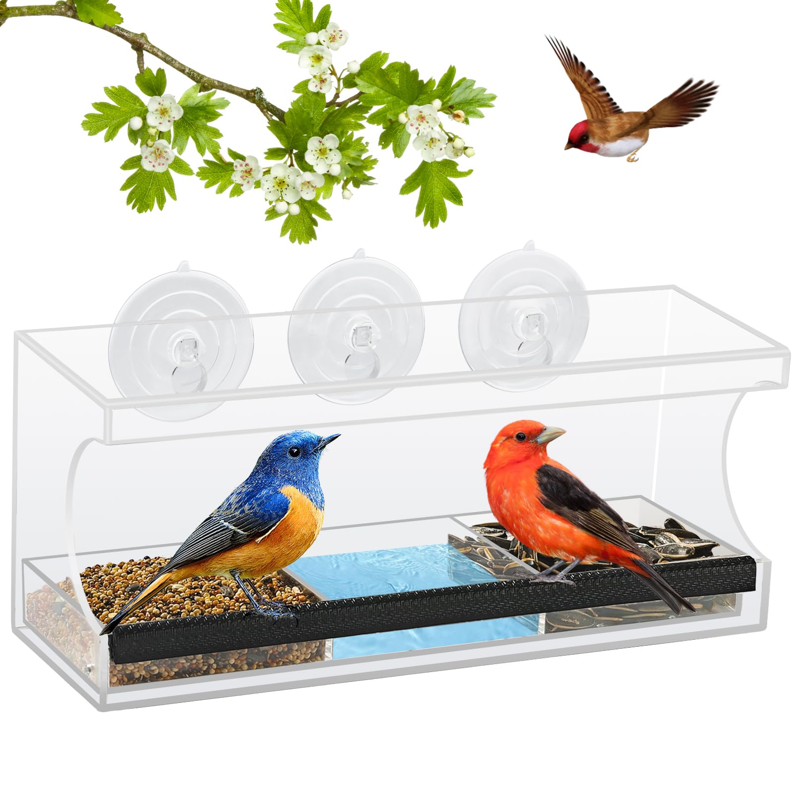 Jarkyfine Window Bird Feeder for Viewing - Window Bird Feeders with ...