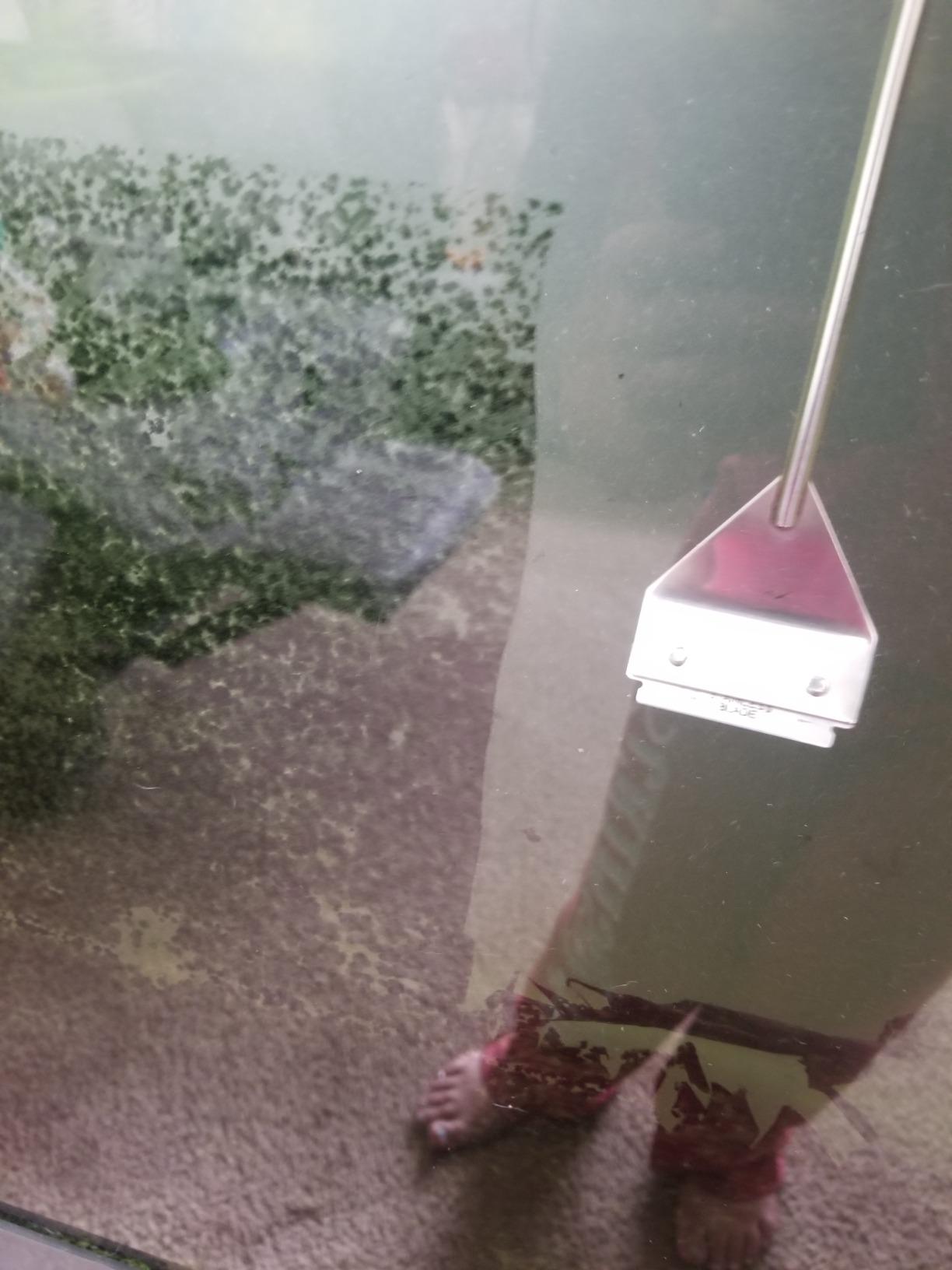 $3/mo - Finance HOTOOLME Aquarium Algae Scraper, 25.6" Stainless Steel ...