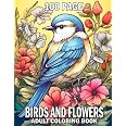 Amazon.com: 100 Page Birds And Flowers Coloring Book For Adult ...