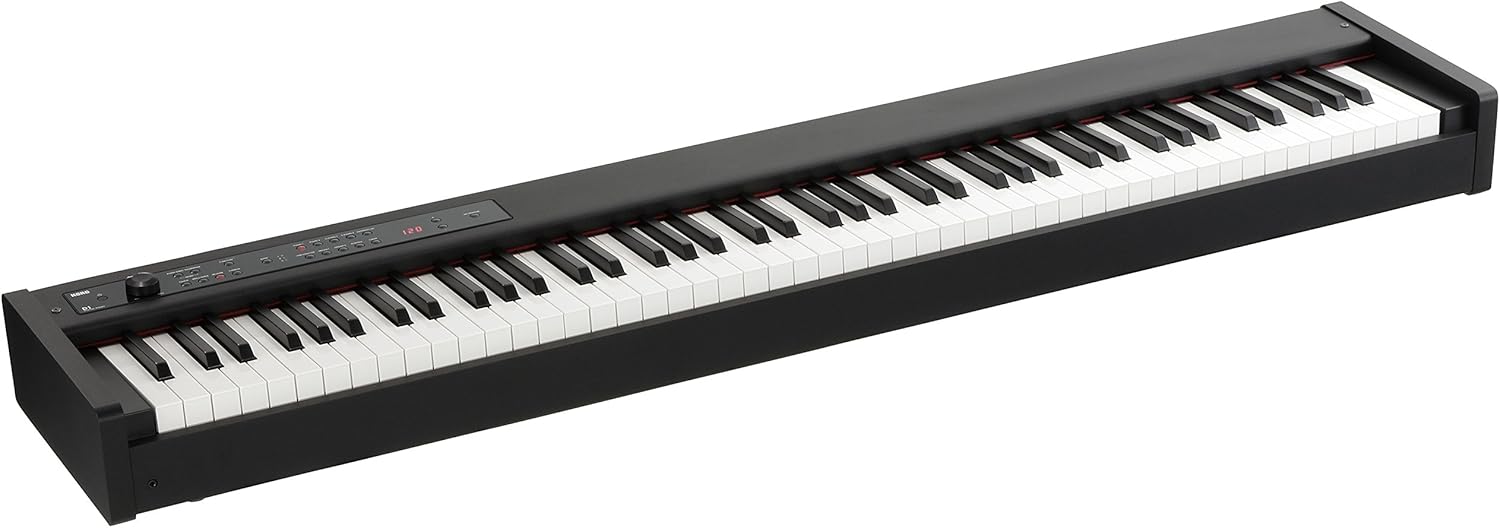 Korg Digital 88 Key Piano With RH3 Keybed - No Stand - Black: Amazon.ca ...