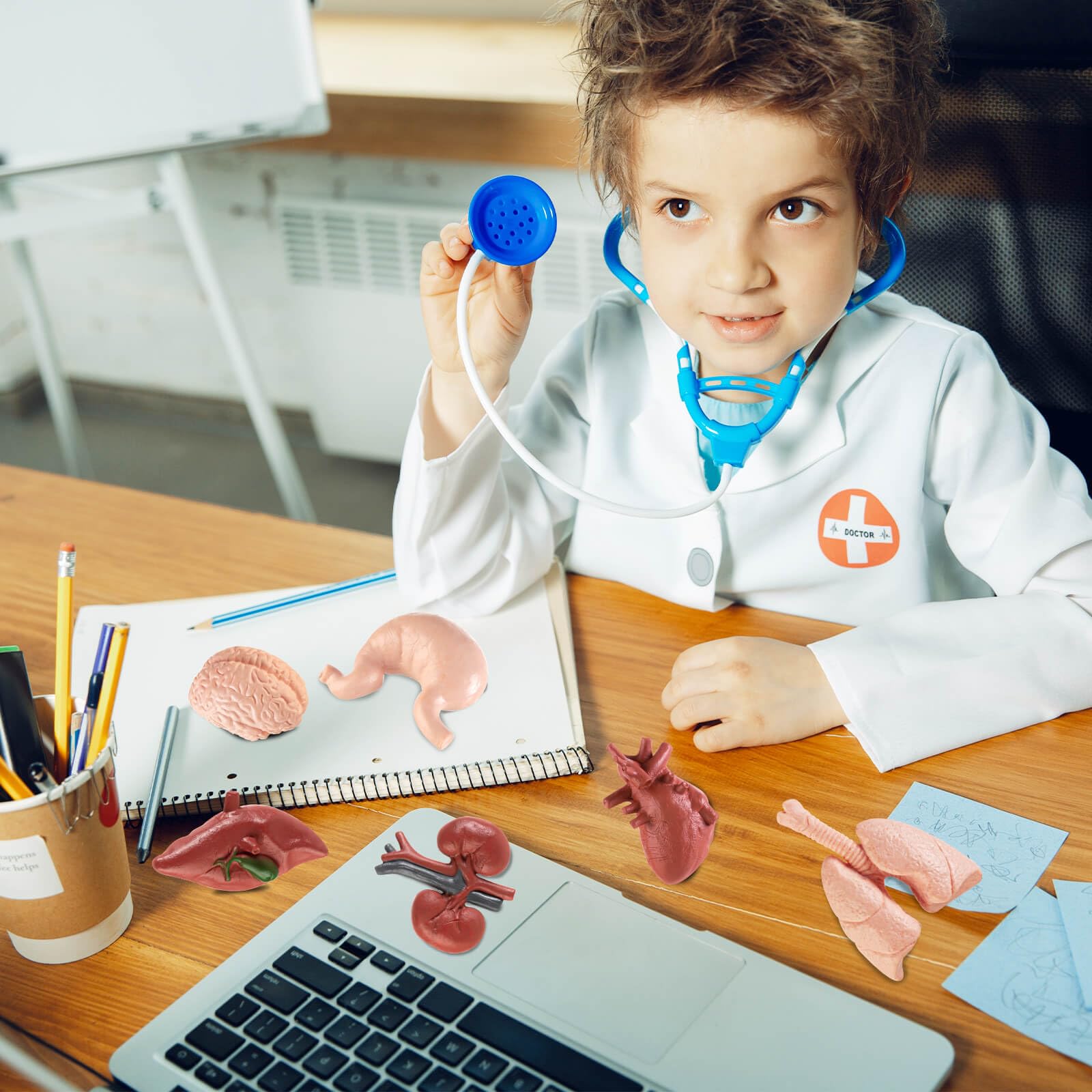 Mua Mini Human Body Model for Kids, 8PCS Body Parts Sets Anatomy Toys ...