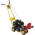 Amazon.com : McLane 9 Inch Gas Powered Walk Behind Lawn Edger with 4 ...
