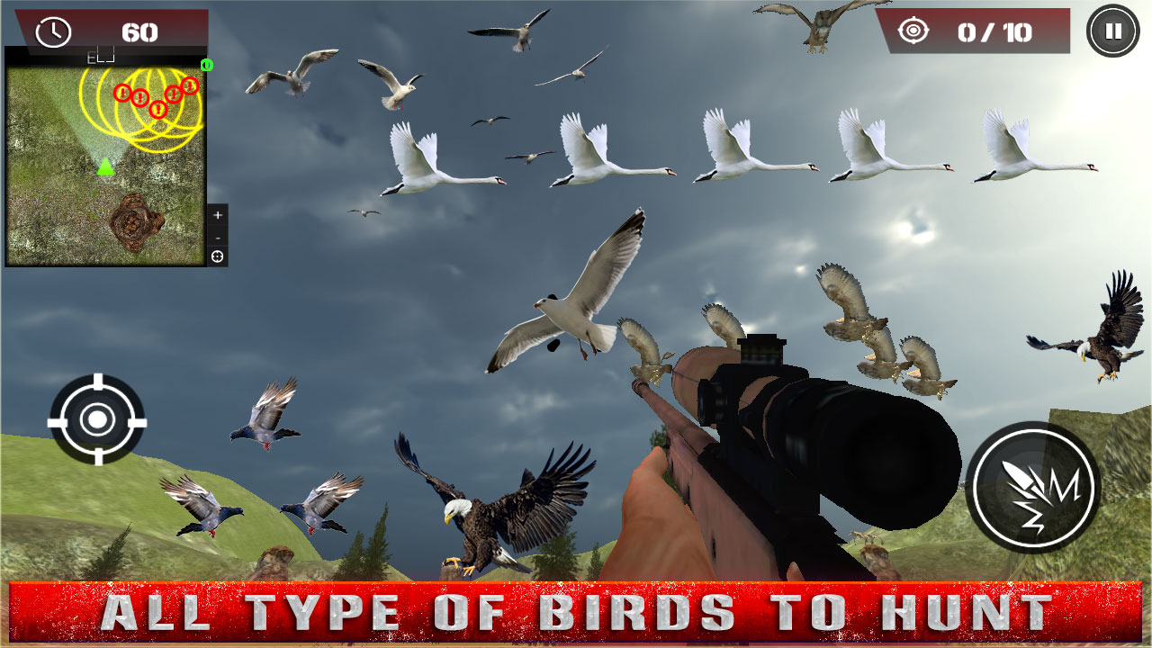 Flying Birds Hunting Game - Bird Hunter:Amazon.ca:Appstore for Android