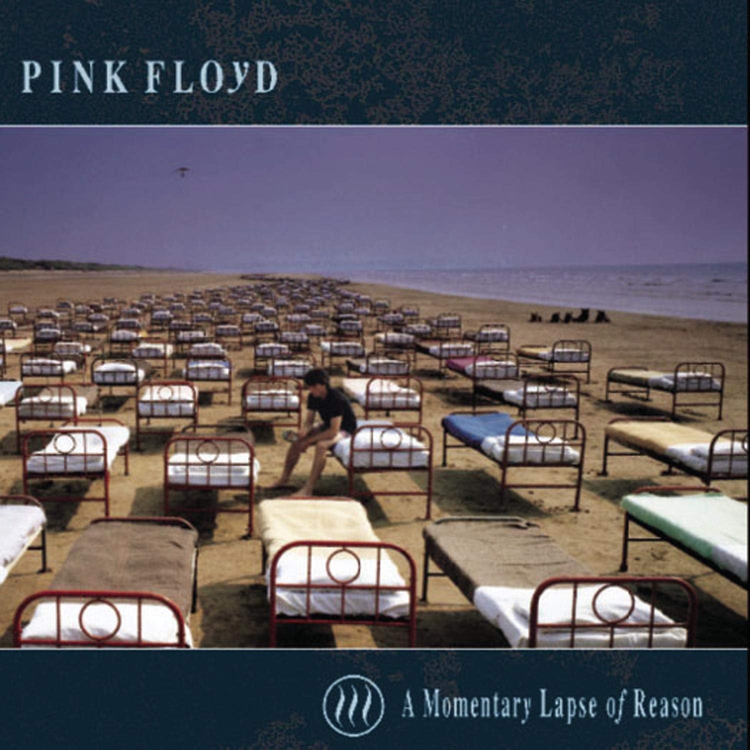 A Momentary Lapse Of Reason: Pink Floyd: Amazon.ca: Music