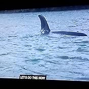 Amazon.com: Free Willy 2: The Adventure Home (Snap Case Packaging ...