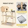 HiCaptain Large Bird Playground, 3 Layers Cockatiel Playground, Pet ...