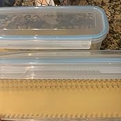 Amazon.com: Komax Biokips Set of 2 Pasta Storage Containers | 77.8-oz ...