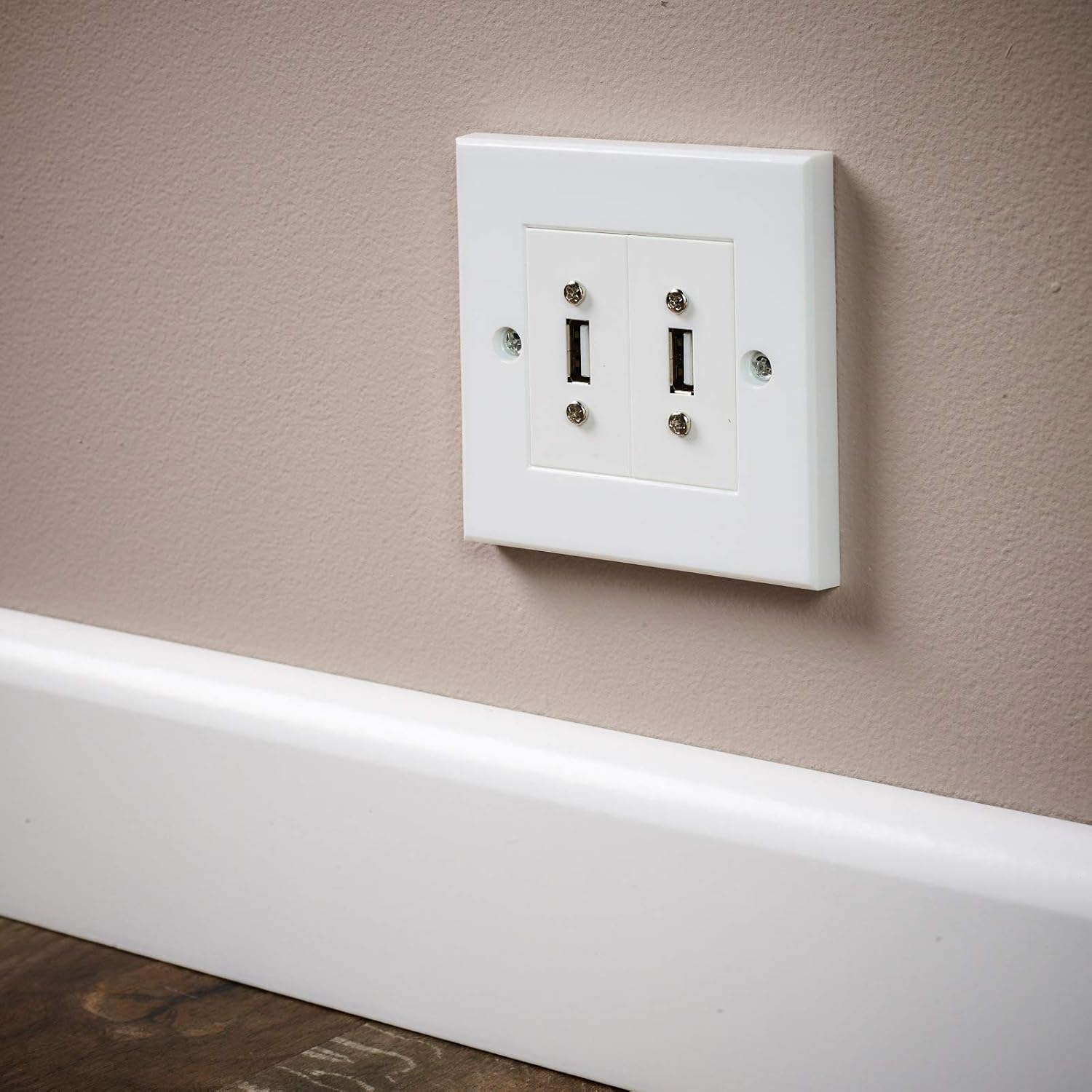 USB 2.0 Modular Faceplate/Wall Outlet (2 x USB 2.0 Port) – BigaMart