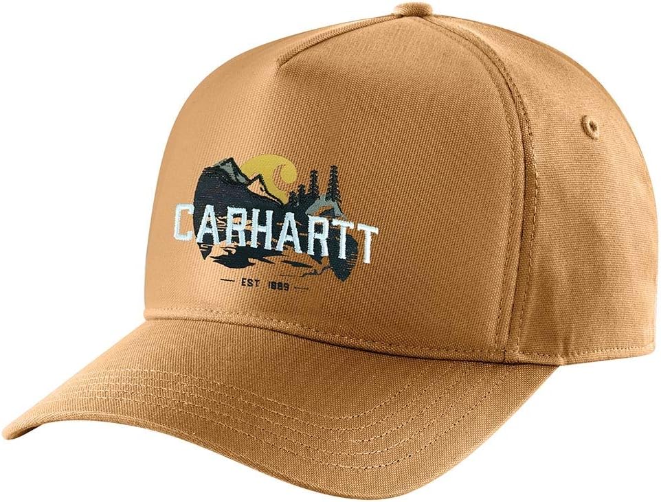 Carhartt Gorra de Lona para Hombre, Carhartt Brown, Talla única: Amazon ...