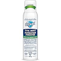 Raid Bed Bug Killer, Bed Bug Spray for Indoor Use Kills Bed Bugs and ...