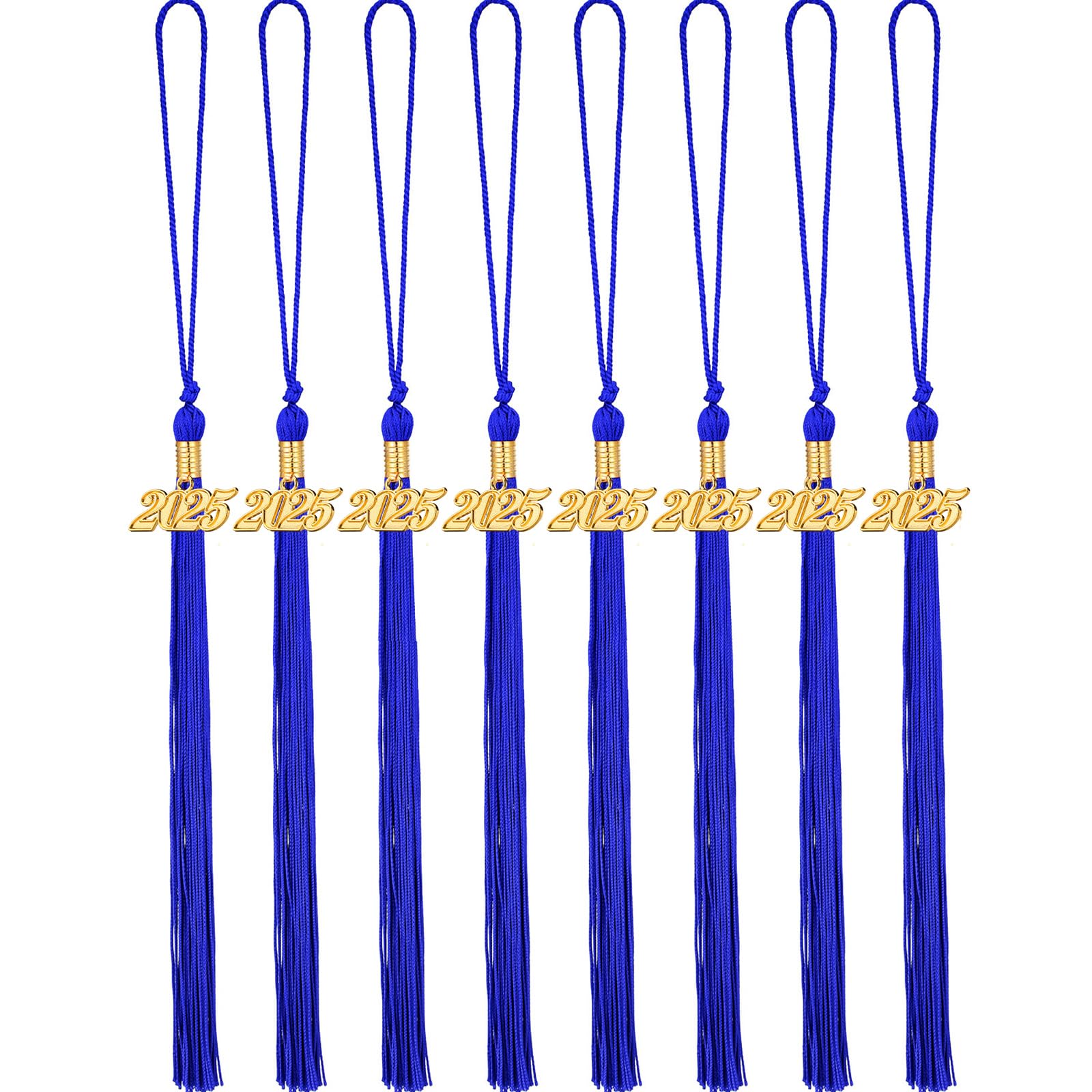 8 Pieces Graduation Tassel Graduation Cap Tassel with 2025 Year Charm ...