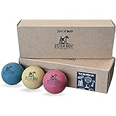 Pet Supplies : Fetch Boy The O.G. of Bounce Solid Sponge Rubber Dog ...