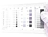 Flaw Test Gauge SEC Size Estimation Chart (Transparency) for Dot and ...