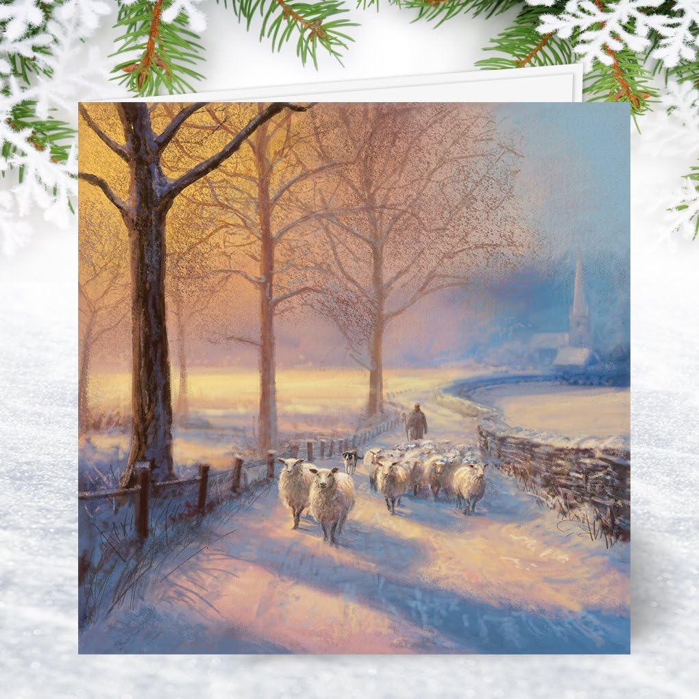Cancer Research Charity Christmas Cards Premium High Gloss Cards With