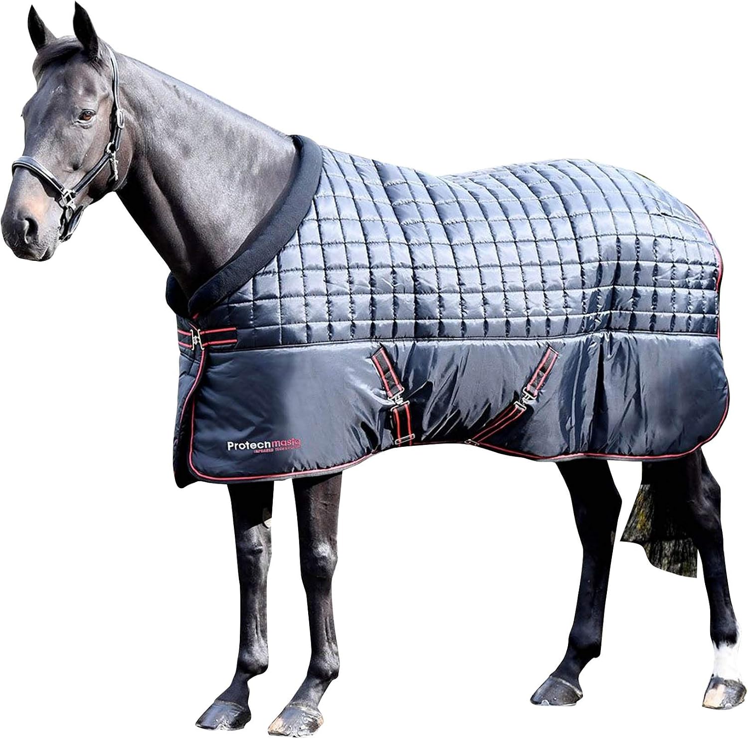 PROTECHMASTA Masta 200g Horse Stable Rug Black 6ft Amazon co uk