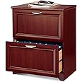 Amazon.com: Realspace® Magellan 23-1/2"W x 16-9/16"D Lateral 2-Drawer ...