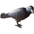 Amazon.com: NACH Cast Iron Crow Statue, Head to Side Raven, Large ...