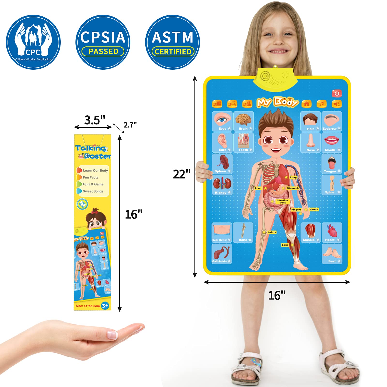 Mua JOYLEARN My Body Interactive Educational Poster for Toddlers and ...