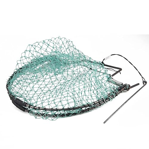 Pigeon Sparrow Quail Trap Pigeon Bird Trap Quail Sparrow Spring ...