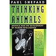 Thinking Animals: Animals and the Development of Human Intelligence ...