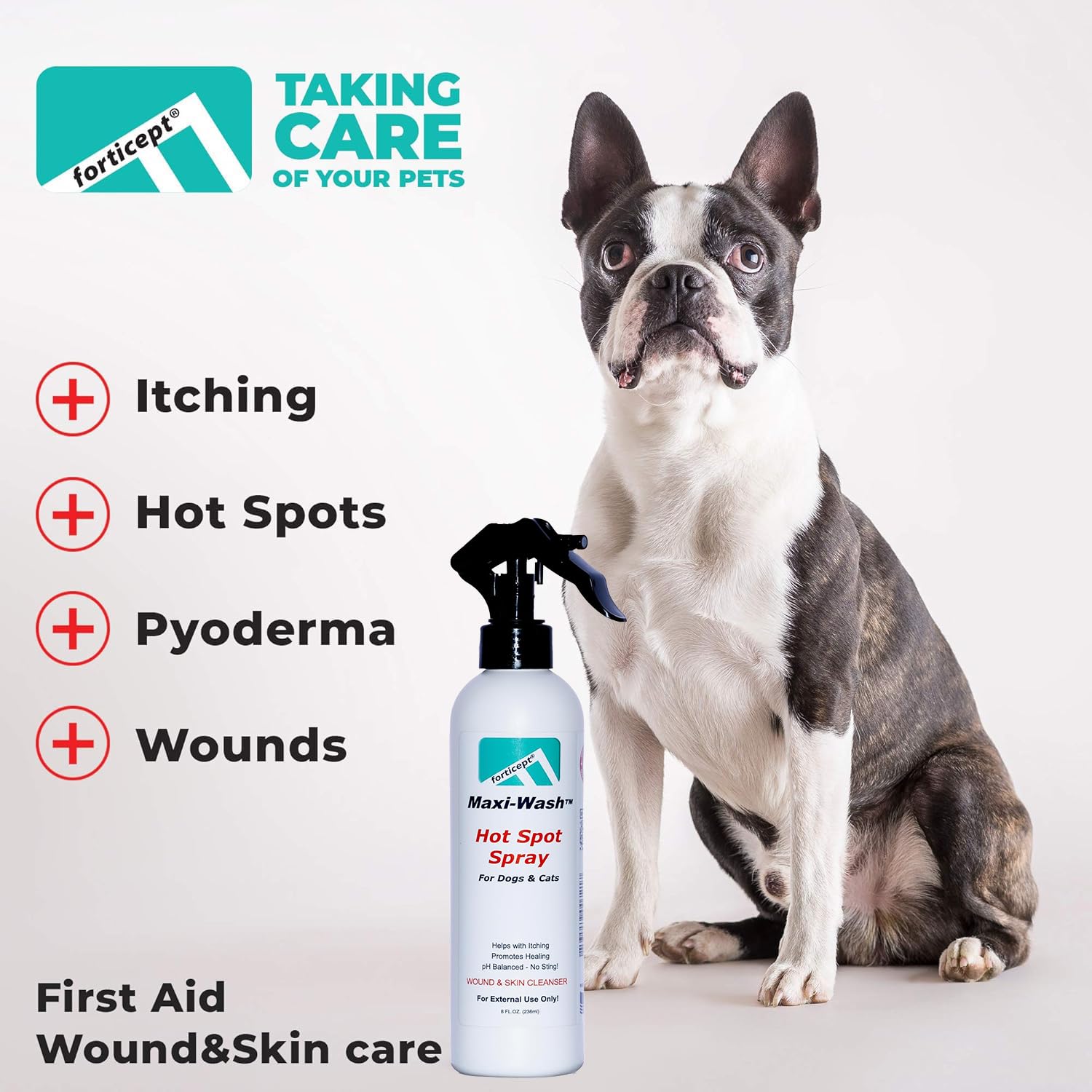 Mua Forticept Maxi-Wash Hot Spot Spray Treatment, Wound Care & Itch ...