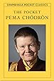 The Pocket Pema Chodron: Chodron, Pema: 0783324953121: Books - Amazon.ca
