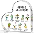 Amazon.com: Gentle Reminders Decor, Positive Affirmations Desktop Art Decorations for Home ...