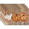 Amazon.com: Artoid Mode Dot Pumpkins Leaves Fall Placemats Set of 4 for ...