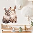 Amazon.com: RoyoLam Cute Two Bunnies Wall Decal Nursery Animal Rabbits ...