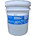 Amazon.com: Detco Road Salt Neutralizer - Residue Remover for Cars ...