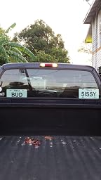 Amazon.com: Bud and Sissy Texas License Plates Tags Urban Cowboy ...