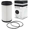 Amazon.com: R61709 Upgrade Long-life Paper Fuel Filter Water Separator ...