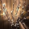 Amazon.com: 3 Pack Warm White Lighted Branches 60 LED Twig Lights ...