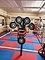 Boxingbar Sparmaster boxing tower punchbag strike pad boxmaster MMA ...
