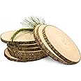 Amazon.com: Natural Wood Slices 10 Pcs 10-11 Inch Large Wood Slices for ...