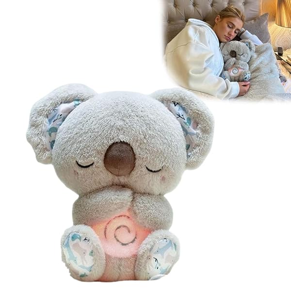 GuatemalaDigital.com: Soothing Koala Bear Rest Otter Calming Sleep ...