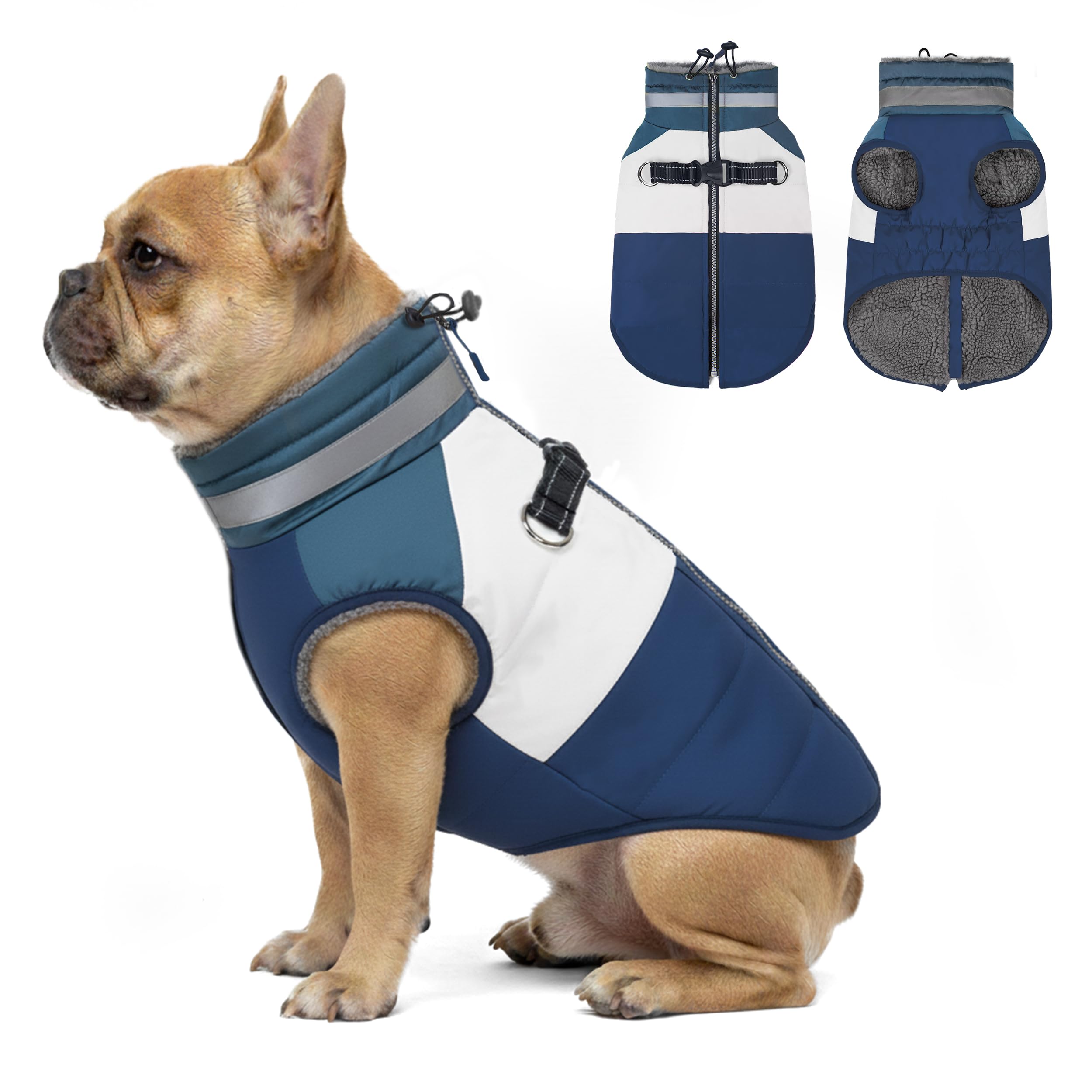 azuza Dog Jacket Waterproof Winter Coat for Small Dogs, Warm Fleece ...
