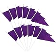 Amazon.com : 12 Pack Purple Pennant Flags Small Mini Hand Held Solid ...