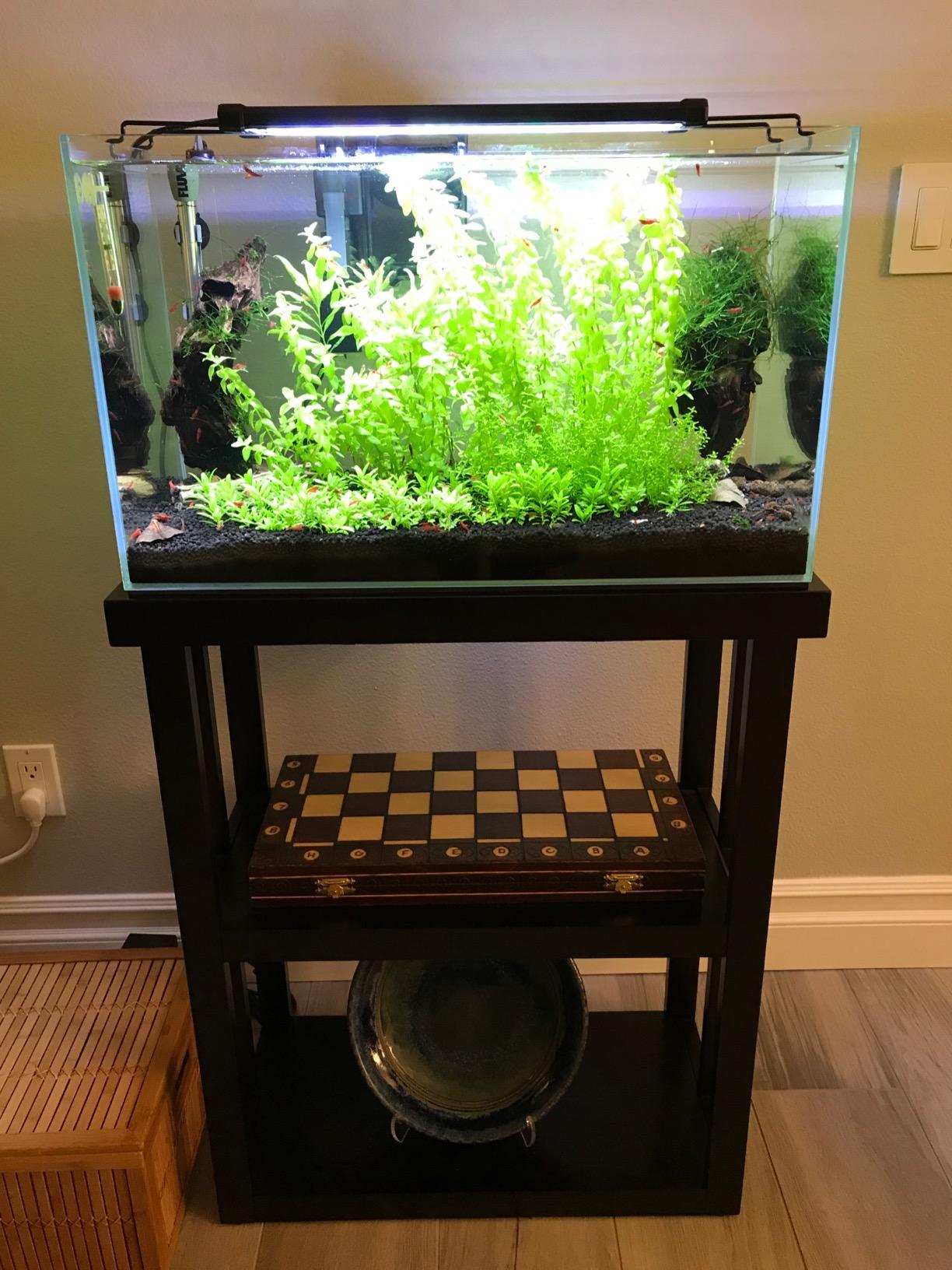 $23/mo - Finance LANDEN Rimless Low Iron Aquarium Tank, Fish Tank ...