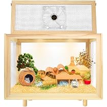 Human Sized Hamster Cage