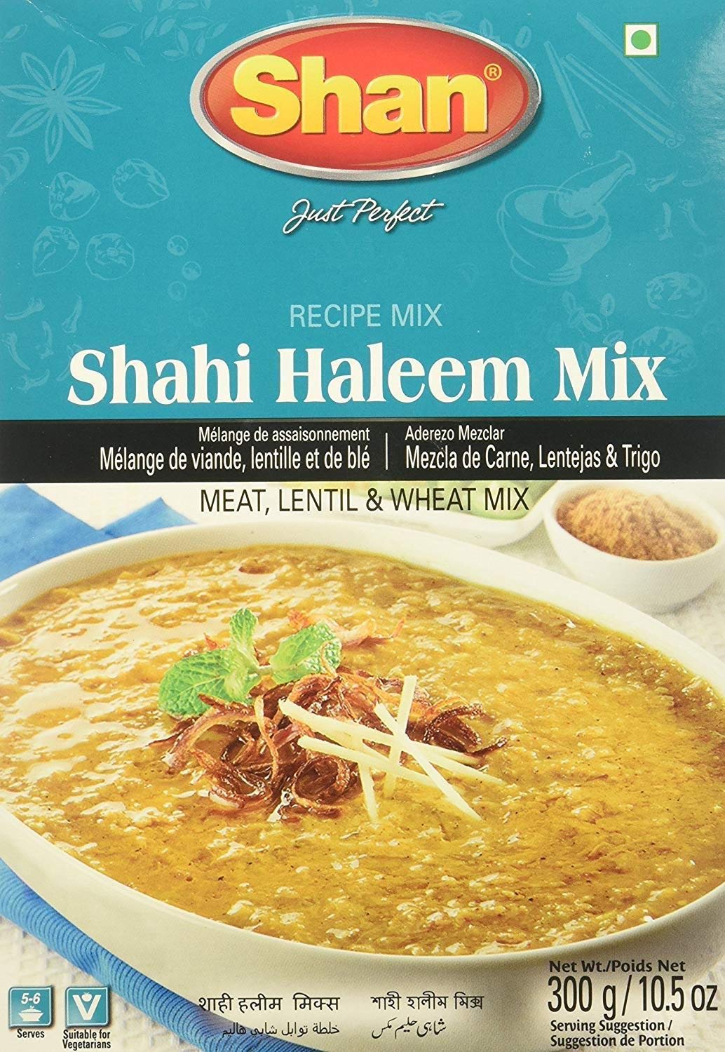 Amazon.com : Shan Special Shahi Haleem Mix - 300g - (pack of 2 ...