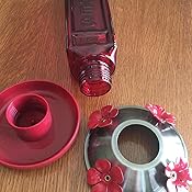 Amazon.com : Stokes Select More Birds Hummingbird Feeder, Glass ...