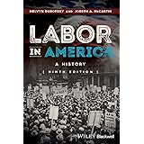 A History of America in Ten Strikes: Loomis, Erik: 9781620971611 ...