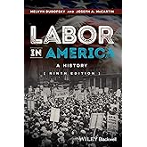 A History of America in Ten Strikes: Loomis, Erik: 9781620971611 ...