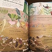 The Big Book of Bugs (The Big Book Series): Yuval Zommer: 9780500650677 ...