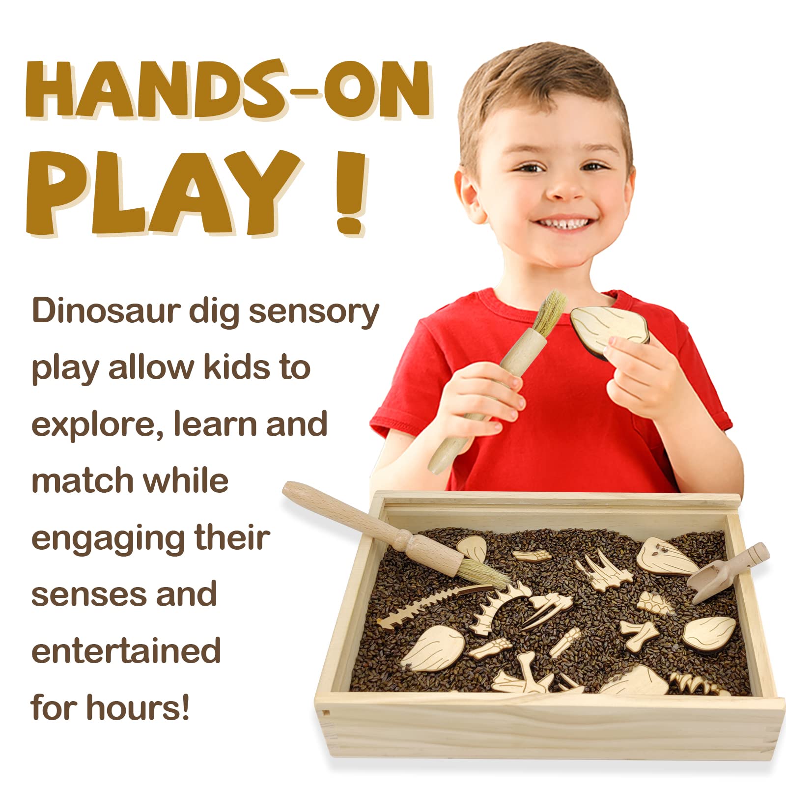 Mua Dinosaur Excavation Archaeology Dig Kit for Kids, Fossil Explore ...