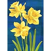 Amazon.com : Toland Home Garden 109136 Geranium Basket Spring Flag ...