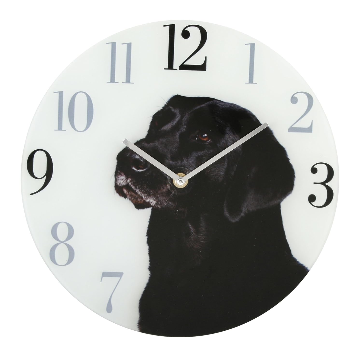 B-O-B Black Labrador Dog Glass Wall Clock: Amazon.co.uk: Kitchen & Home