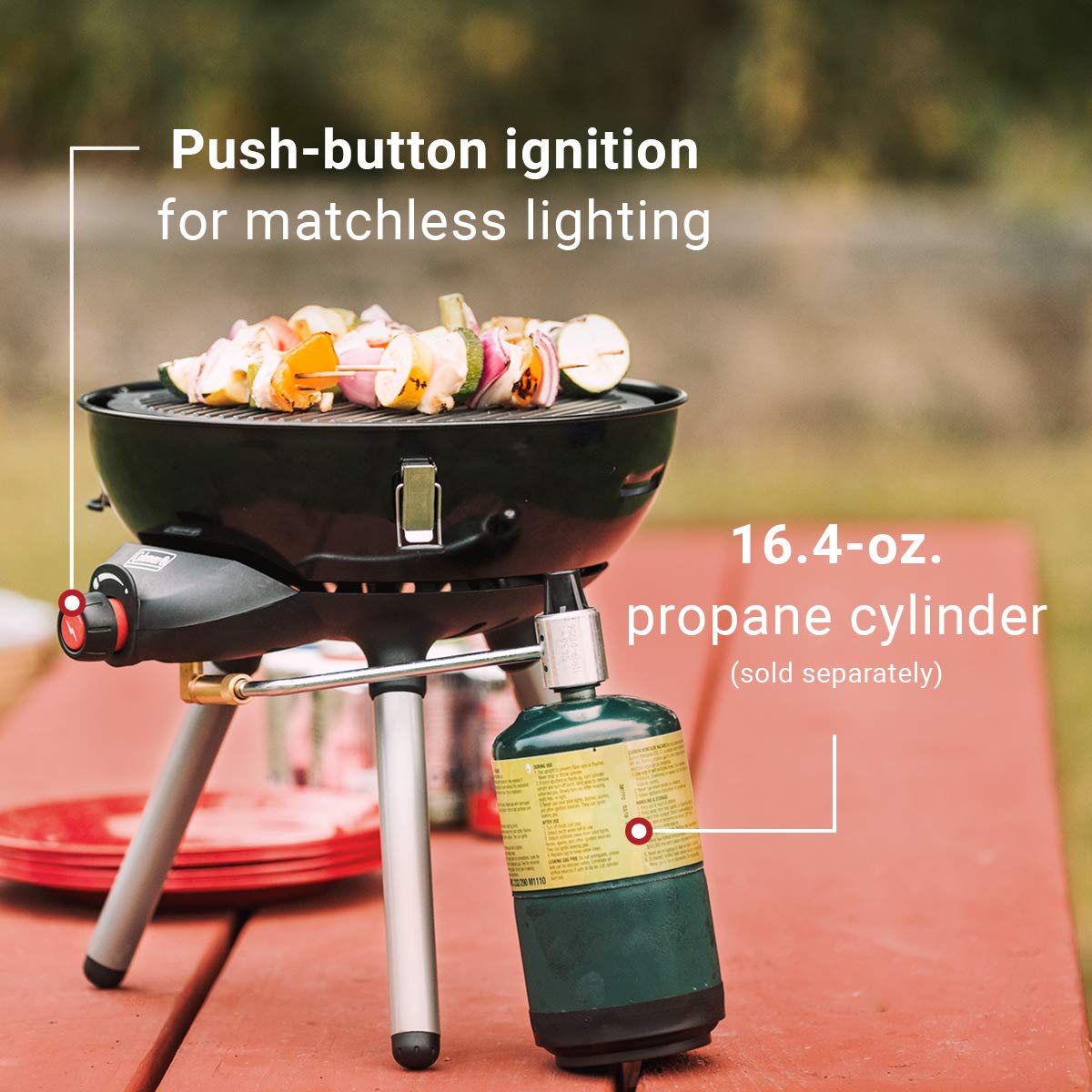 Mua Coleman 4-in-1 Portable Propane Grill with 4 Cooking Attachments ...